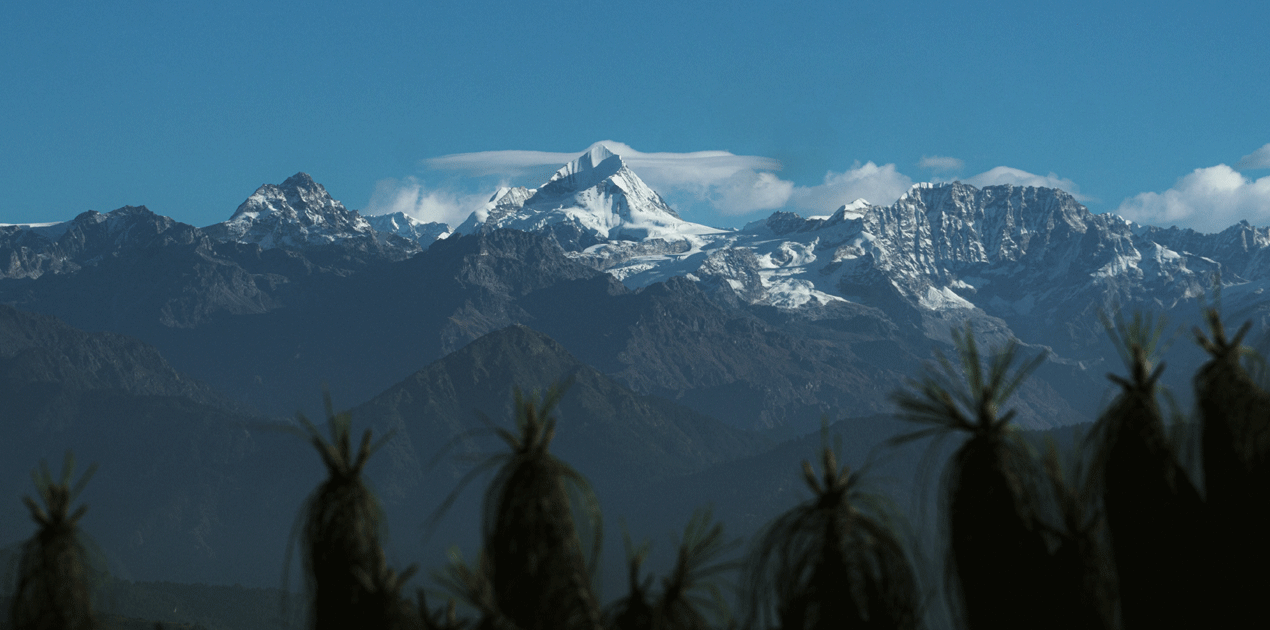 Ama Yangri trek | Helambu Ama Yangri base camp itinerary